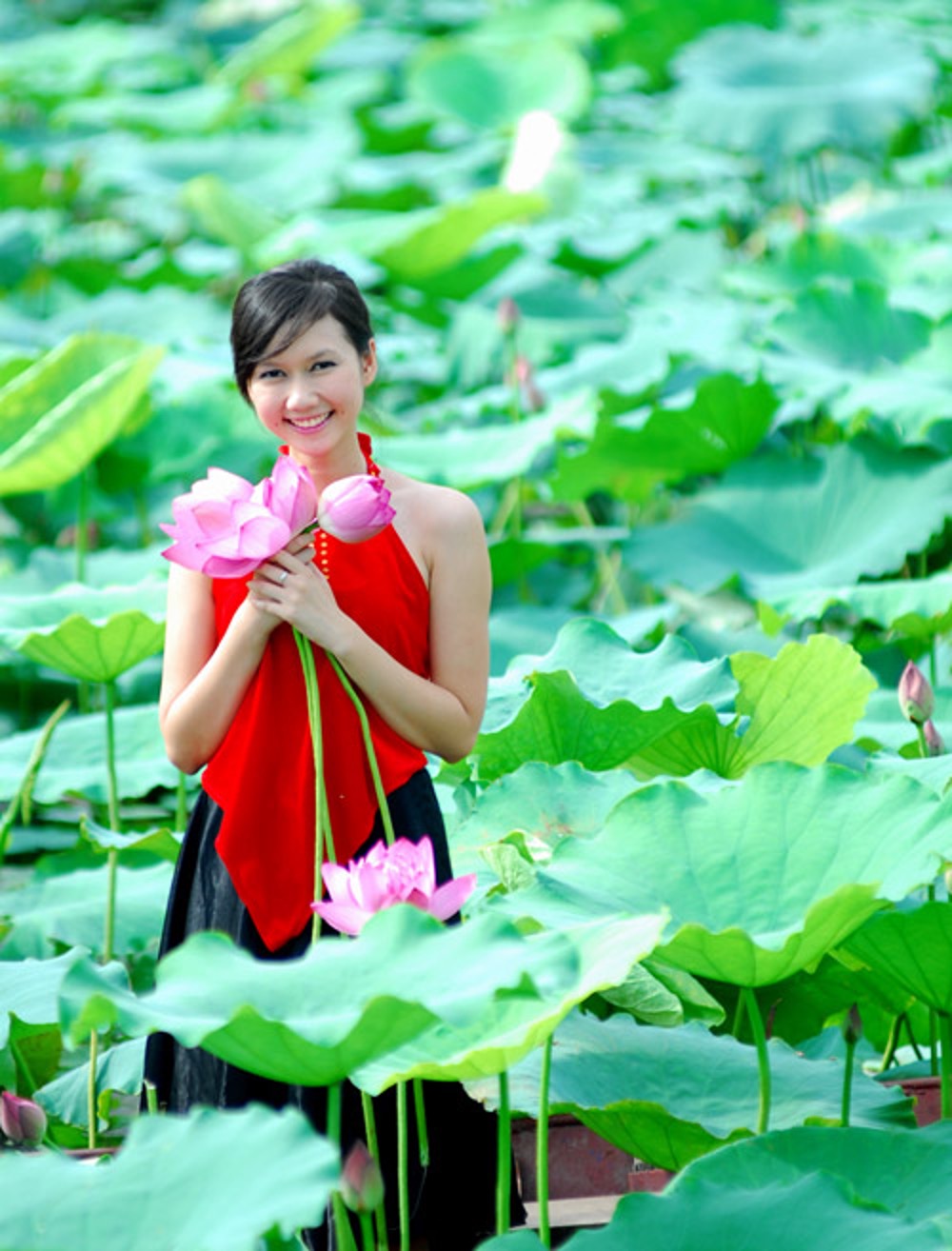 66+ Tư Thế Tạo Dáng Chụp Ảnh Với Hoa Sen Đẹp Và Bắt Trend Nhất